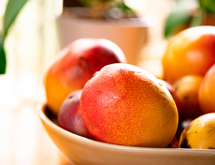 Mango Kent - Ara Export